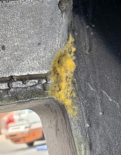 Argentine Moth and Asian Gypy Moth eggs found on multiple vessels ...